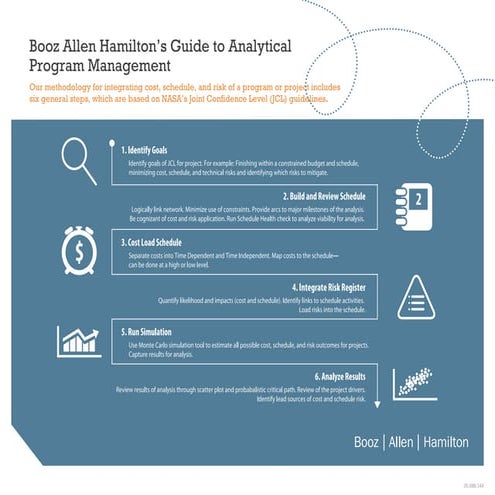Analytical Program Management Infographic | PDF