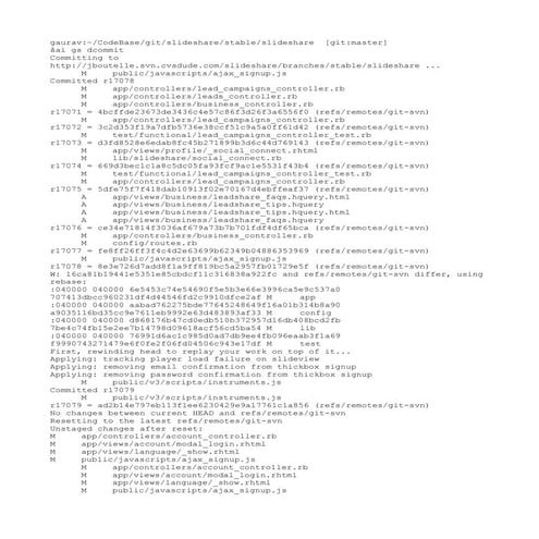 Analyze Git Commit | PDF