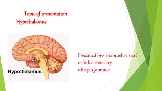 Neuroendocrine system and Neurosecretion | PPT