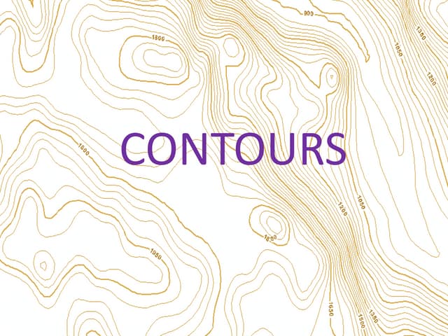 Contouring Report | DOCX