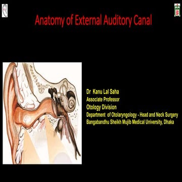 Anatomy Of External Auditory Canal Pptx