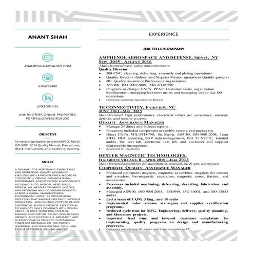 CV-FORMAT Stein Steven | PDF