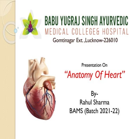 Anatomy Of Heart by Dr Rahul Sharma | PDF | Heart and Cardiovascular Diseases | Diseases and ...