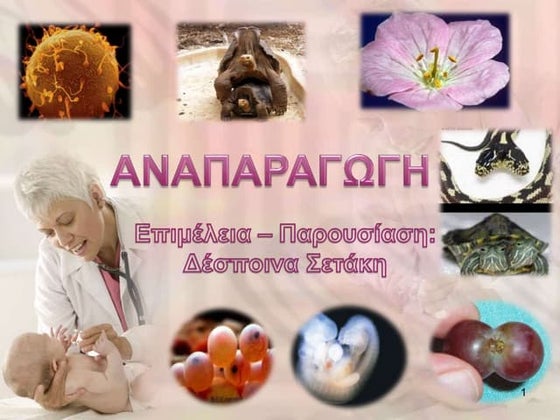 Βιολογία Γ΄ Γυμνασίου (18 διαγωνίσματα) | PDF