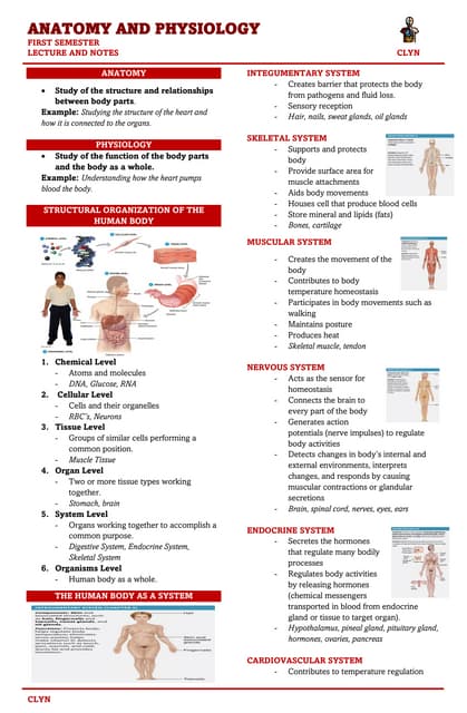 Introduction to HUMAN ANATOMY AND PHYSIOLOGY | PPT