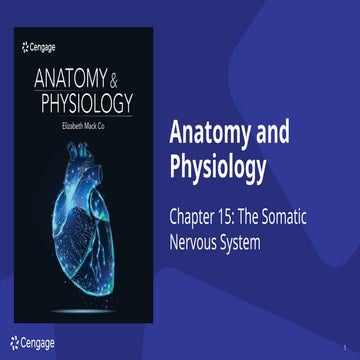 ANAPHY-SOMATIC-NERVOUS-SYSTEM-AND-OTHERS-FINALS.pptx