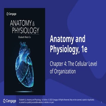 ANATOMY AND PHYSIOLOGY LECTURE CHAPTER 4 | PPTX
