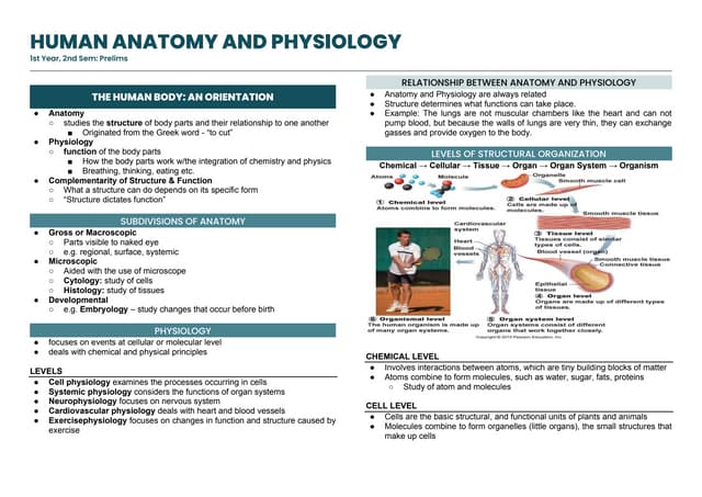 Introduction to HUMAN ANATOMY AND PHYSIOLOGY | PPTX