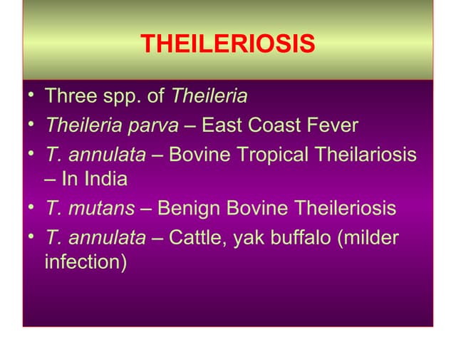 Common blood parasites in dogs | PPSX