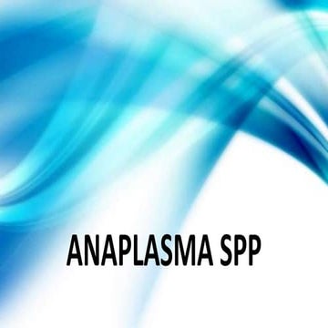 Anaplasma spp | PPTX