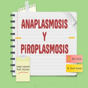 Babesiosis bovina | PPTX