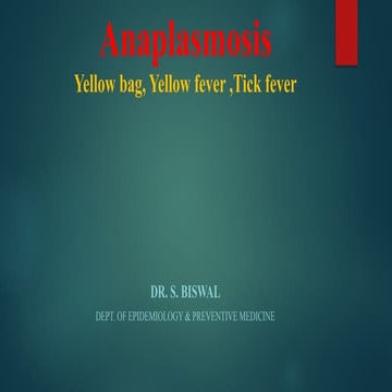 anaplasmosis condition - veterinary medicine | PPTX