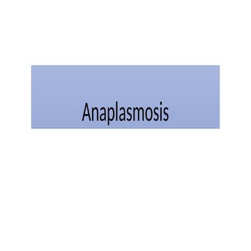 Anaplasma | PPTX