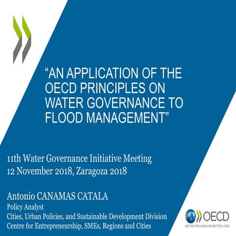 OECD Principles on Water Governance | PDF