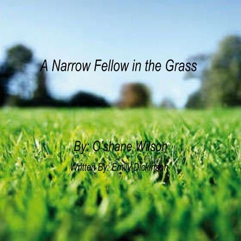 A Narrow Fellow In The Grass Poem | PPT