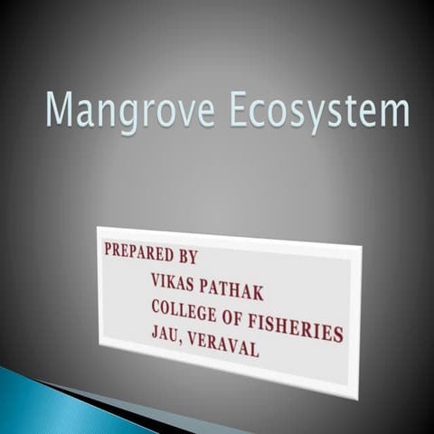 mangroves | PPT