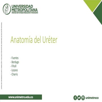 Uretra femenina-Clase Anatomia | PPTX