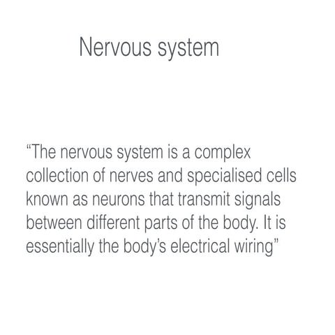 Control systems of Human Body & Yoga Practices.pptx