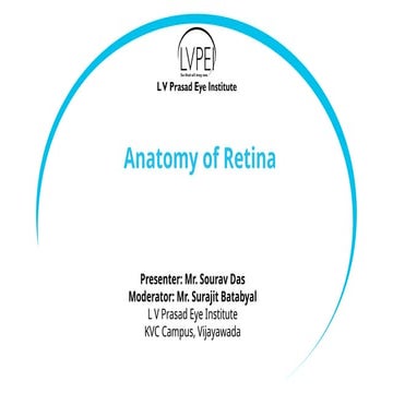 anatomy of retina about it and explanation.pptx