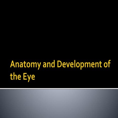 Anatomy and Development of eye.pptx