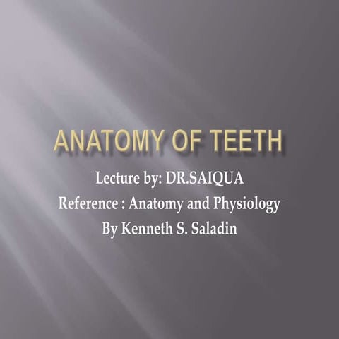 Anatmy of teeth | PPT