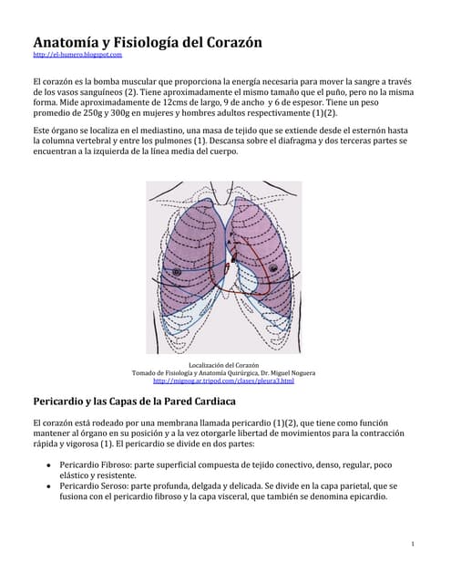 anatomia y fisiologia cardiovascular.pptx