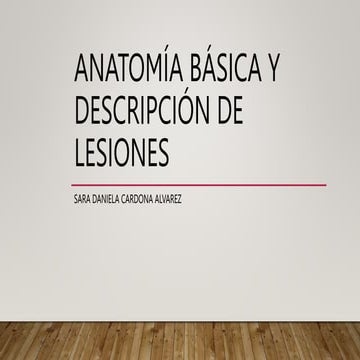 Anatomía básica y descripción de lesiones APAP.pptx | Death, Injury, or Military Conflict ...