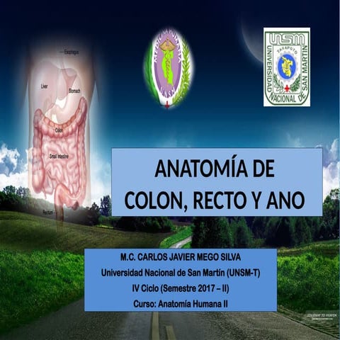 Anatomía de Colon, Recto y Ano - 2017 II.pptx