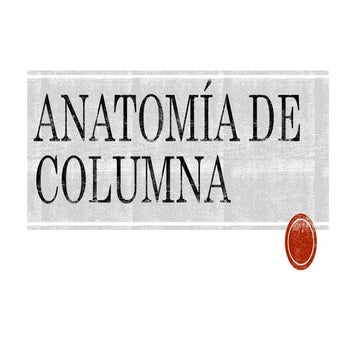 anatomia de columna y neuroeje. pptx | PPTX