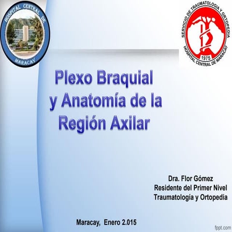 Tronco pulmonar | PPTX