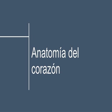 Anatomía normal del corazón y su fisiología | PPTX