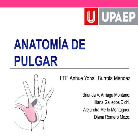 Exploración física de la mano | PPT