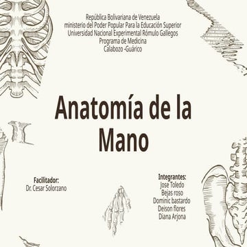 Anatomía de la mano osteologia completa. | PPTX
