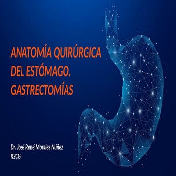 NETTER ABDOMEN anatomia para medicina netter | PDF