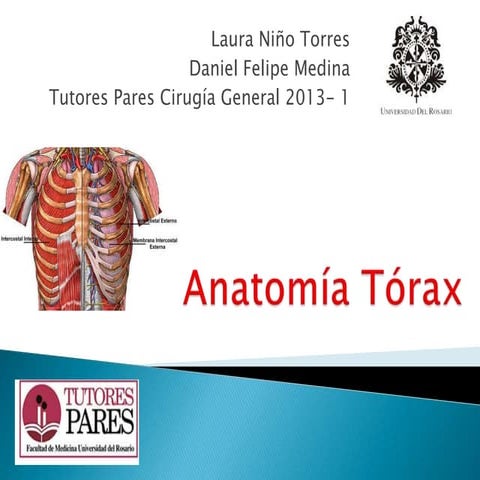 Torax - Anatomía de tórax | PPTX