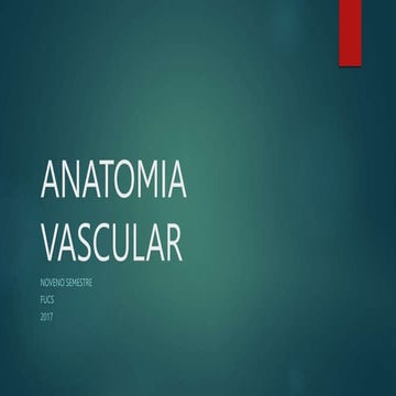 ANATOMÍA VASCULAR FINAL.pptx