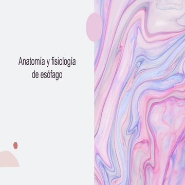 Descripción del esófago. Relaciones, irrigación, | PDF