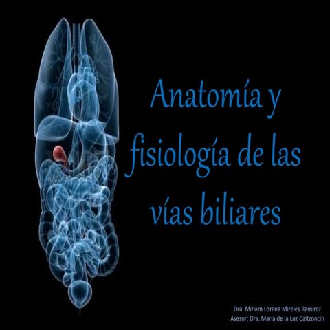 Apendicectomia Tipo Mc Burney | PPTX