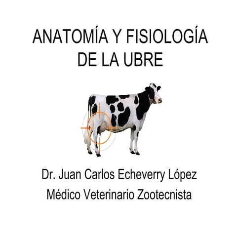 Anatomía y fisióloga de la ubre | PPT