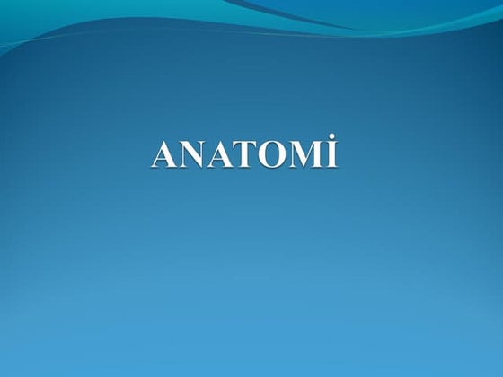 Anatomiye giris ve temel kavramlar | DOC
