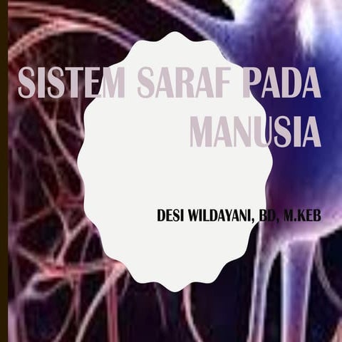Anatomi dan Fisiologi Sistem Syaraf pada Manusia | PPT