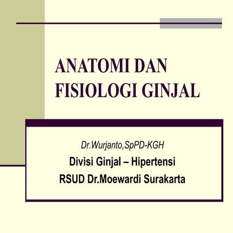 Anatomi ginjal | PPT
