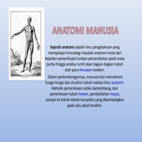 Anatomi manusia | PPT