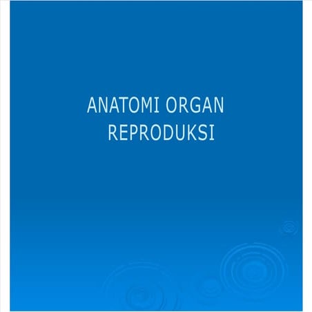 Anatomi dan fisiologi sistem reproduksi manusia | PPTX
