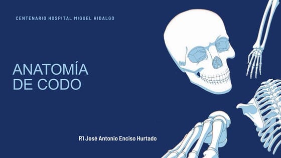 Corte horizontal esquemático de un espacio intercostal | PDF
