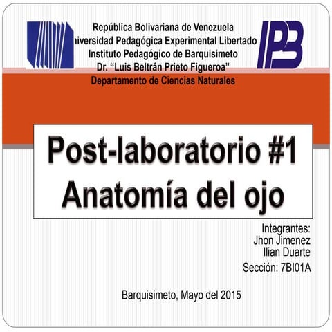 Disección de ojo de vaca. | DOCX