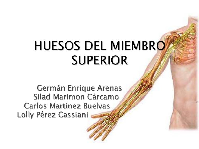 Miembro Superior