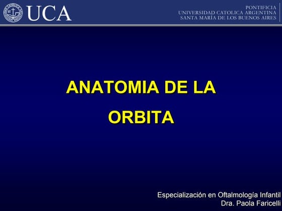 Orbita, RegióN Orbitaria Y Globo Ocular55 | PPT