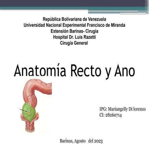 Anatomía de recto y ano. Repaso anatómico | PPTX