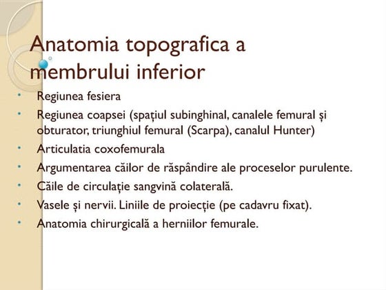 Anatomie: plexul sacral | PDF